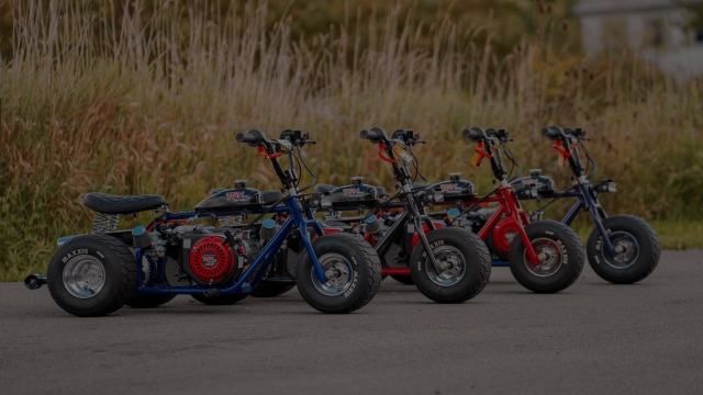 Unleashing Freedom: Exploring the World of TGV Mini Trikes and Mini ...