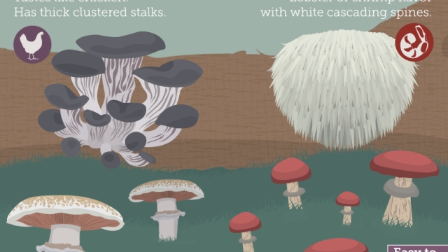 Fungi Fun: Unlocking the Secrets of Mushroom Cultivation - FY Rock